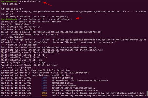 Containers Vulnerability Scanner Trivy Penetration Testing