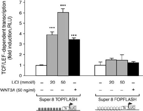 Lithium Activates Wnt Effectors Such As β Catenin Tcf Lef Download Scientific Diagram