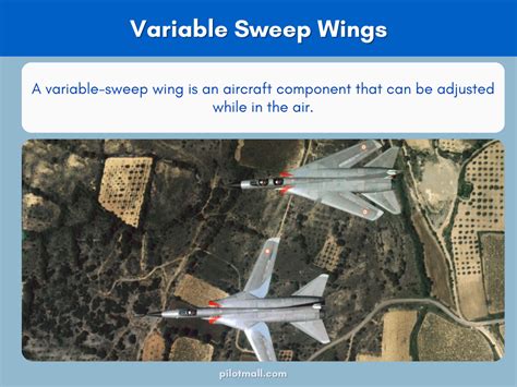 Explore 10 Unique Types Of Aircraft Wings For Better Flight