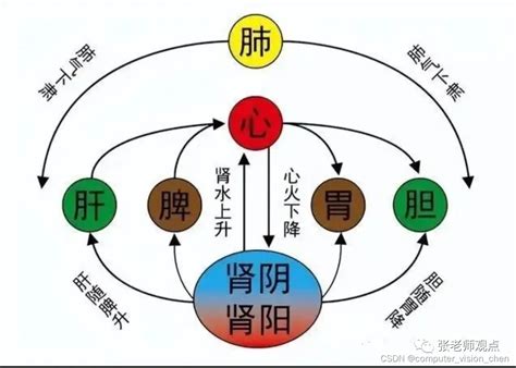 中医笔记（阴阳，五行，六气，经脉，天干地支，子午流注，伤寒论，倪海厦中医笔记）六气与十二经络的关系 Csdn博客