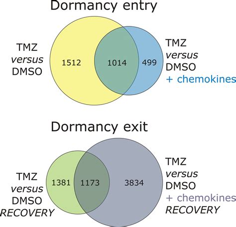 Microarray Based Transcriptome Analysis Of The Influence Of Chemokines