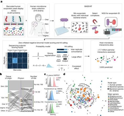 Stefano Pluchino On Linkedin A Host Microbiota Interactome Reveals