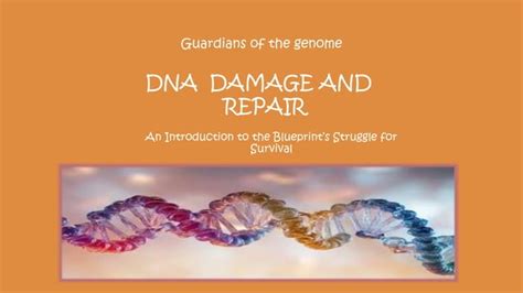 Introduction To DNA Damage And Repair Pptx
