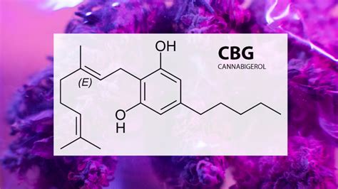 What Is Cbg Cannabigerol Earthmed