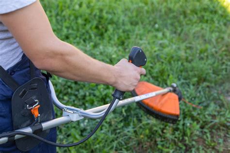 The Different Types Of Pruning Thinning Crown Reduction And More Core Flower Decor