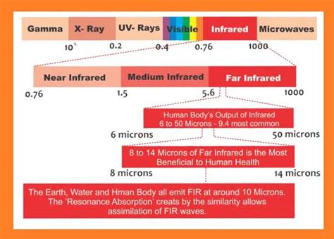 Far Infrared What Is Far Infrared Fir Ezekiel Ion