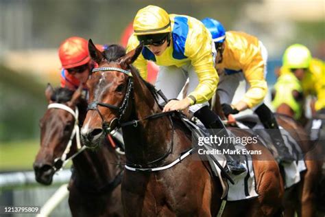 Tom Manion Photos And Premium High Res Pictures Getty Images