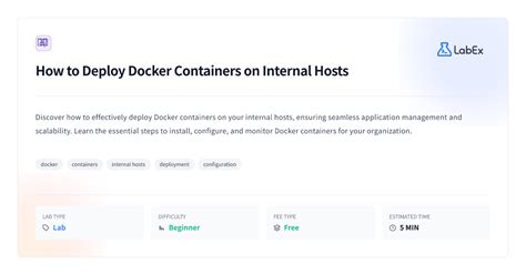 내부 호스트 Docker 컨테이너 배포 가이드 Labex