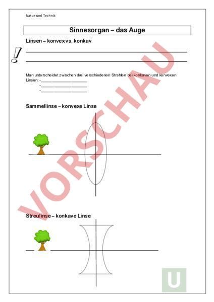 Arbeitsblatt Linsenkontruktion Physik Optik