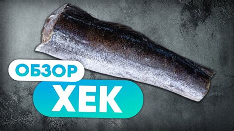 Уругвайский хек ОБЗОР Как разделать рыбу на филе шеф повар Сергей Лигай Youtube