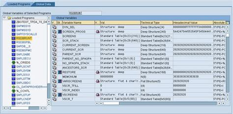 Geladene Programme Globale Daten Sap Bibliothek Abap
