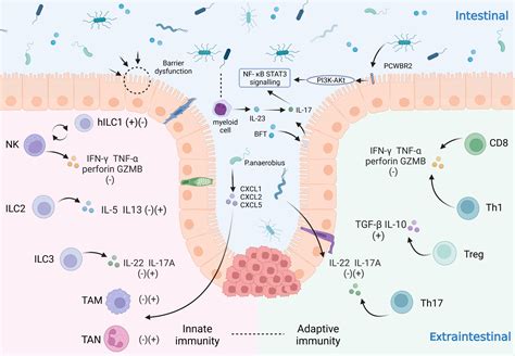 George Hu And Gui Gui