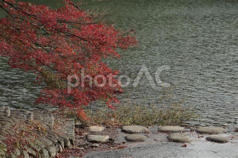川と赤い紅葉の葉 No 4232782写真素材なら写真AC無料フリーダウンロードOK
