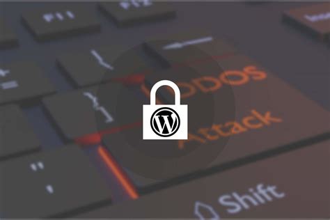 wordpress denial of service dos attacks how to protect your website