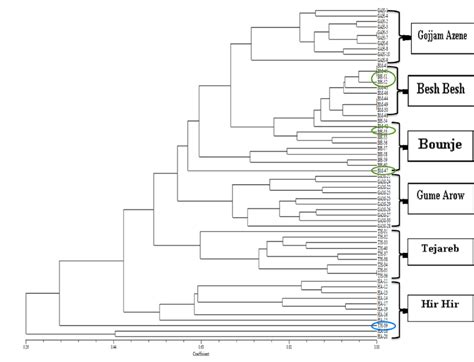 Dendogram Constructed Based On Upgma Analysis And Jaccard S Similarity