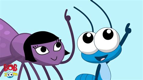 Dona Aranha Bob Zoom Vídeo Infantil Oficial Youtube