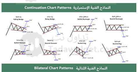ملخص النماذج الفنية Pdf أهم 19 أشكال عليك معرفتها