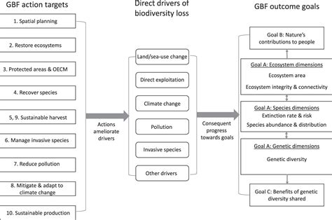 Explained Can The Global Biodiversity Framework Prote