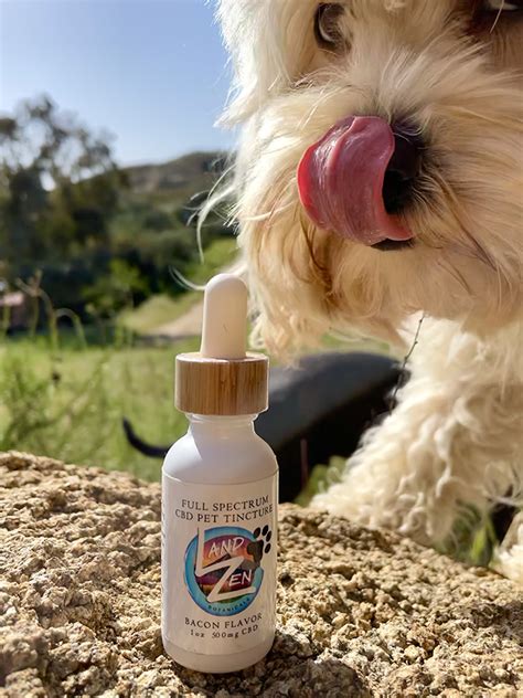 Pet Tincture Bacon Flavor Landzen Farm Cbd Products For Health