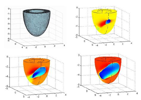 1 Truncated Ellipsoid Modeling The Left Ventricle Starting Mesh Download Scientific Diagram