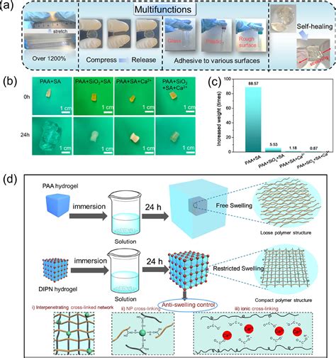Highly Stretchable Swelling Resistant Self Healed And Biocompatible Dual Reinforced Double