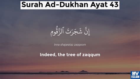 Surah Dukhan Ayat Quran With Tafsir My Islam