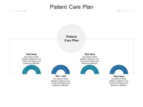 Patient Care Plan Ppt Powerpoint Presentation Files Cpb Presentation