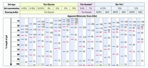 Pageruler™ Plus Prestained Protein Ladder 10 To 250 Kda