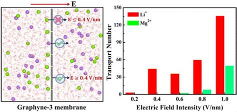 Electric Field Driven Ultraefficient Li Mg2 Separation Through Graphyne Membrane Industrial