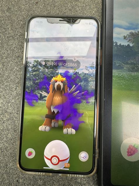 부부계 근황 포켓몬 에펨코리아