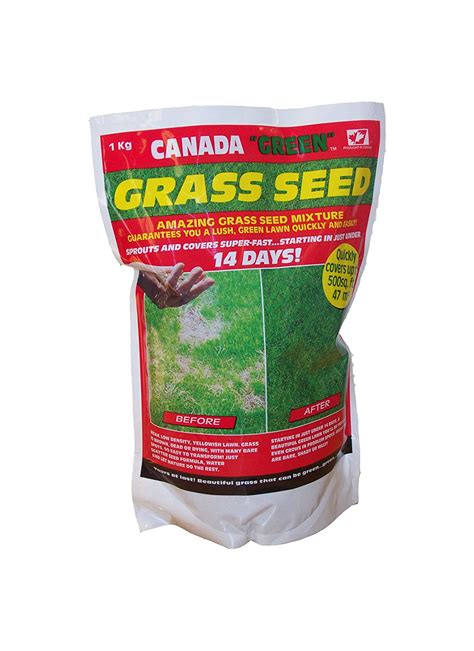 Canada Grass Seed 1kg Pk All Garden Plants Plants Garden Tools