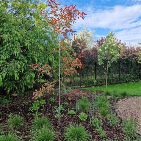 Rekreacyjny Ogród Rodzinny Ogrody W Różnych Stylach Sztuka Krajobrazu