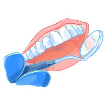 Park Dental Practices Where Nature Meets Oral Health Park Dental Studio