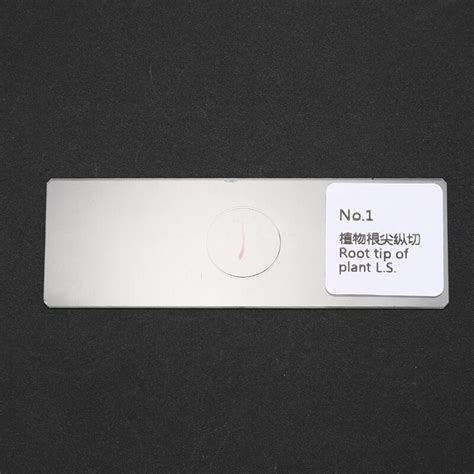 100pcs Glass Slice Prepared Microscope Slides Educ Grandado
