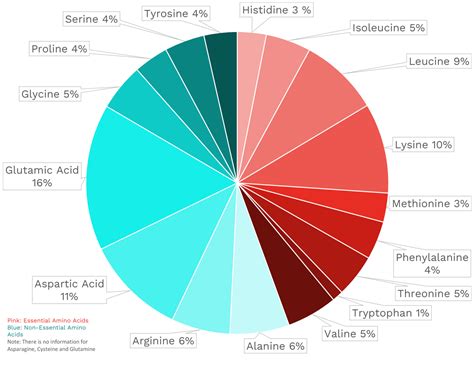 Wild Atlantic Salmon Nutrients