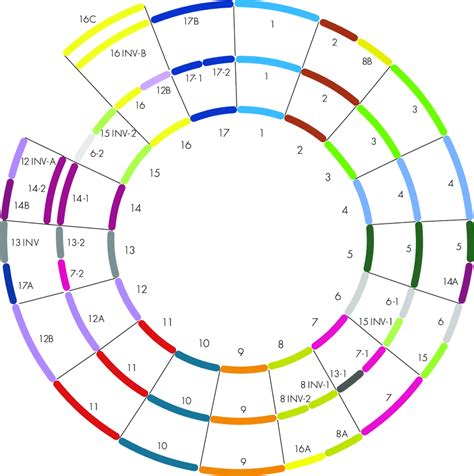 Circle Diagram Depicting Macrosynteny Among The Genomes Of Three