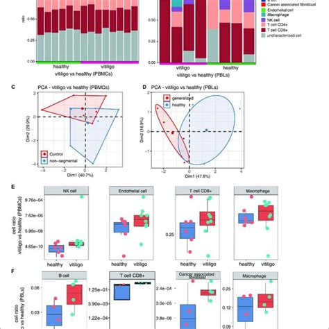Increase Of Cd8 T Cell And Macrophage Population In Peripheral Blood