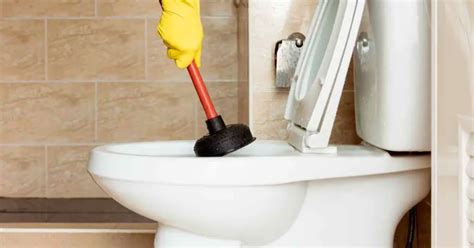 How To Flush Poop That Is Too Big To Flush Explained