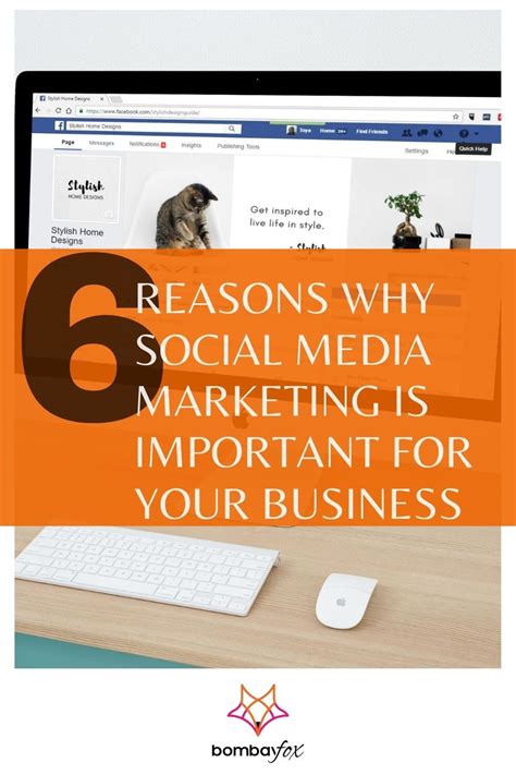 6 Reasons Why Social Media Marketing Is Important For Your Business