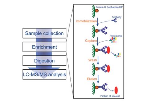 TechNote Parallel Affinity Based Sample Preparation