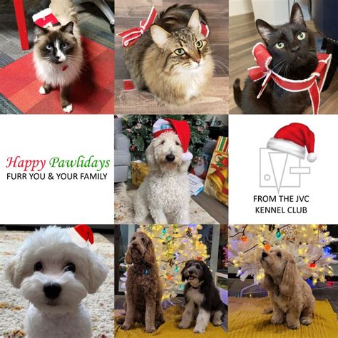 Jim Van Compernolle Posted On Linkedin