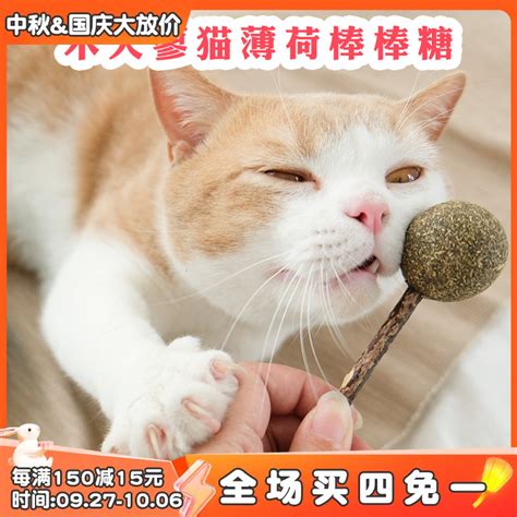 猫薄荷球自嗨洁齿木天蓼棒棒糖幼猫逗猫磨牙棒小猫玩具耐啃咬零食虎窝淘