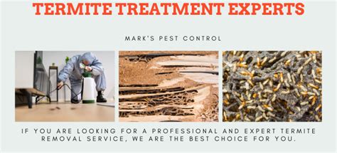 Termite Inspections Control And Treatments Termite Control Specialist