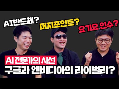 구글 Vs 엔비디아 여기에 테슬라까지 격전이 벌어지는 Ai칩 전문가의 의견을 들어봤습니다