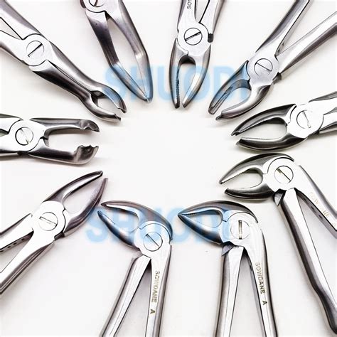 1 Piece Stainless Steel Dental Adult Tooth Extraction Forcep Plier