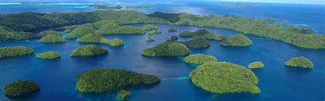 מידע למטייל בפלאו לשנת 2026 תכנון טיול לפלאו אקספלורר