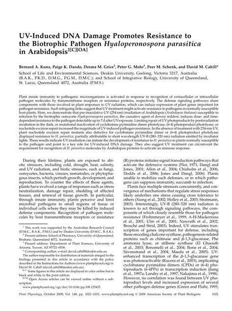 Pdf Uv Induced Dna Damage Promotes Resistance To The Biotrophic