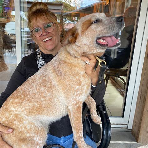 Caroline Charpentier