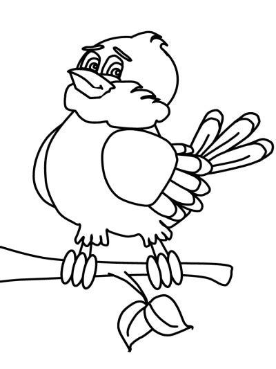 Xenops Coloring Page