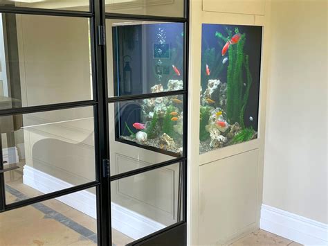 In Wall Aquarium Design And Installation In Wall Fish Tank Uk Specialist